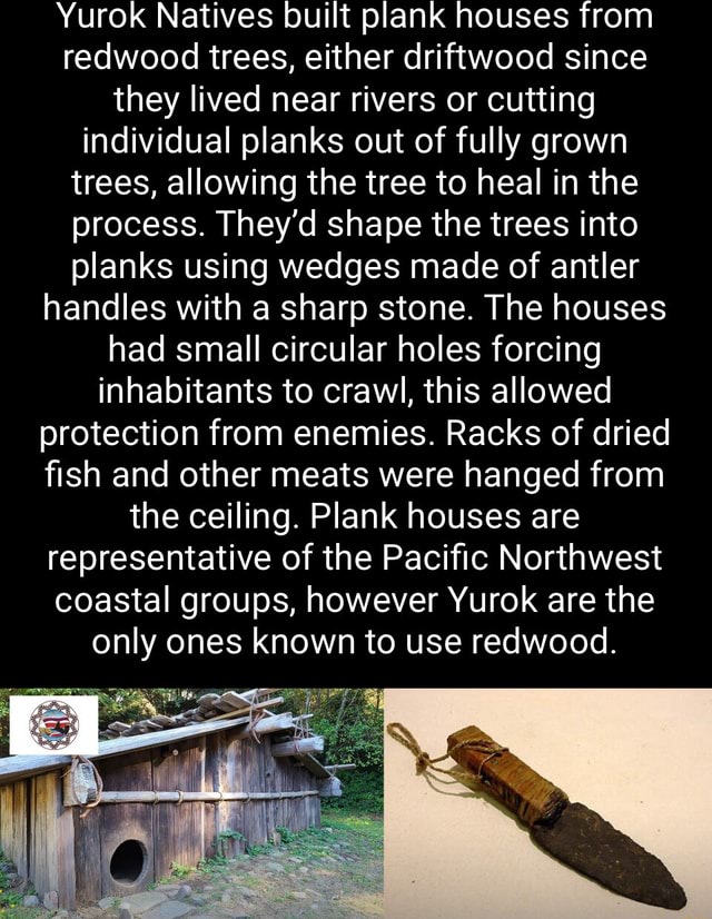 Yurok Natives built plank houses from redwood trees, either driftwood ...