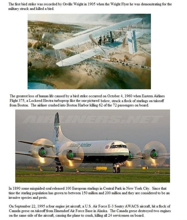 The first bird strike was recorded by Orville Wright in 1905 when the ...