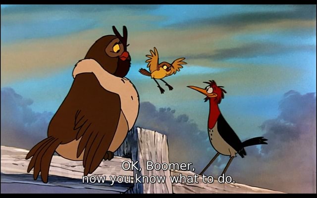 Ok boomer since Disney's Fox and the hound 1981 - America’s best pics ...