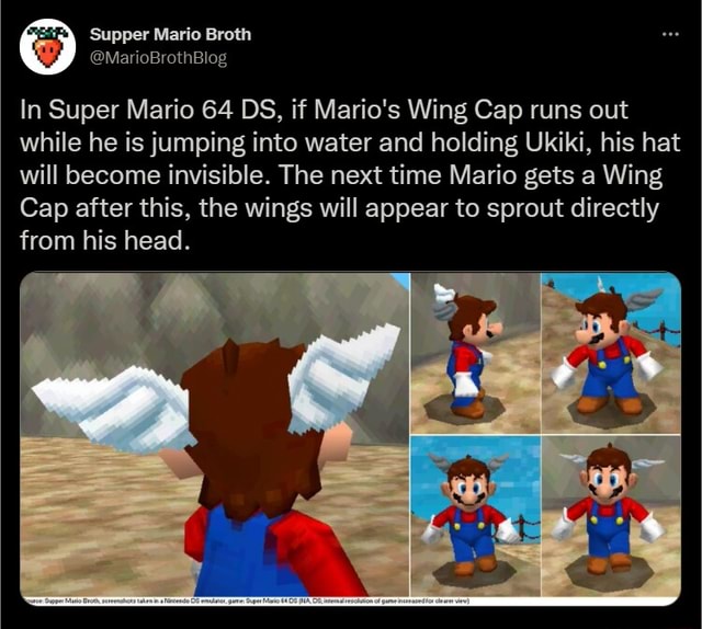 Supper Mario Broth n Super Mario 64 DS, if Mario's Wing Cap runs out ...