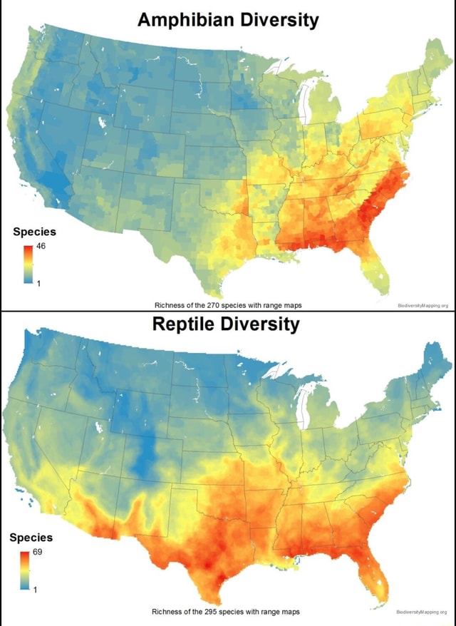 Amphibian Diversity Species my 46 Richnees of the 270 species with ...