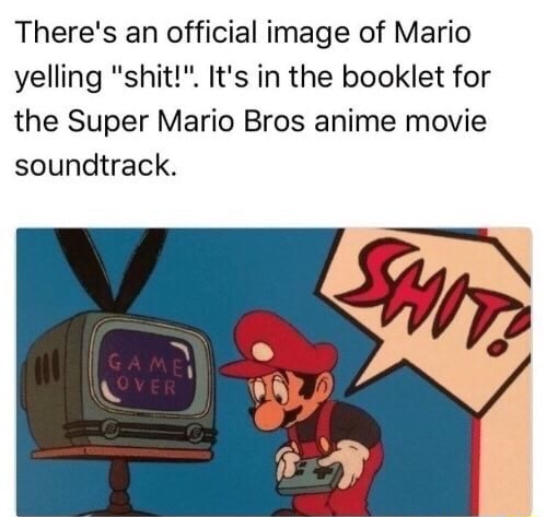 There's an official image of Mario yelling "shit!". It's in the booklet ...