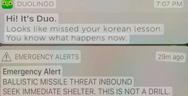 DUOLINGO PM Hi! It's Duo. Looks like missed your korean lesson You know ...