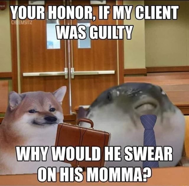 YOUR HONOR, IF MY CLIENT WAS GUILTY WHY WOULD HE SWEAR ON HIS MOMMA ...