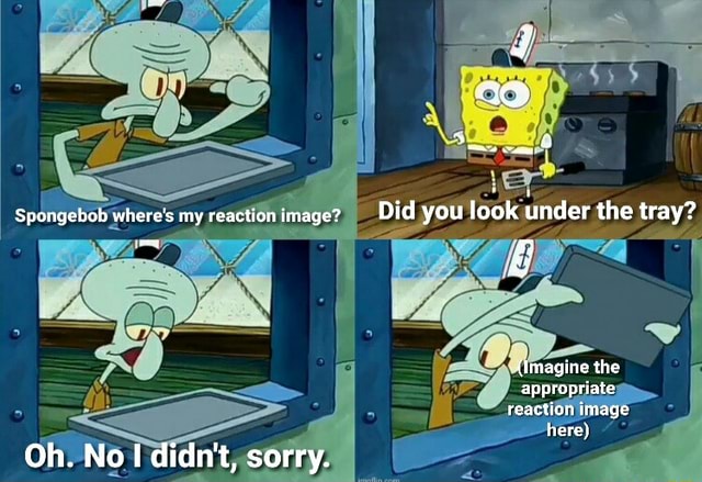 Spongebob where's my reaction image? Did you look under the tray ...