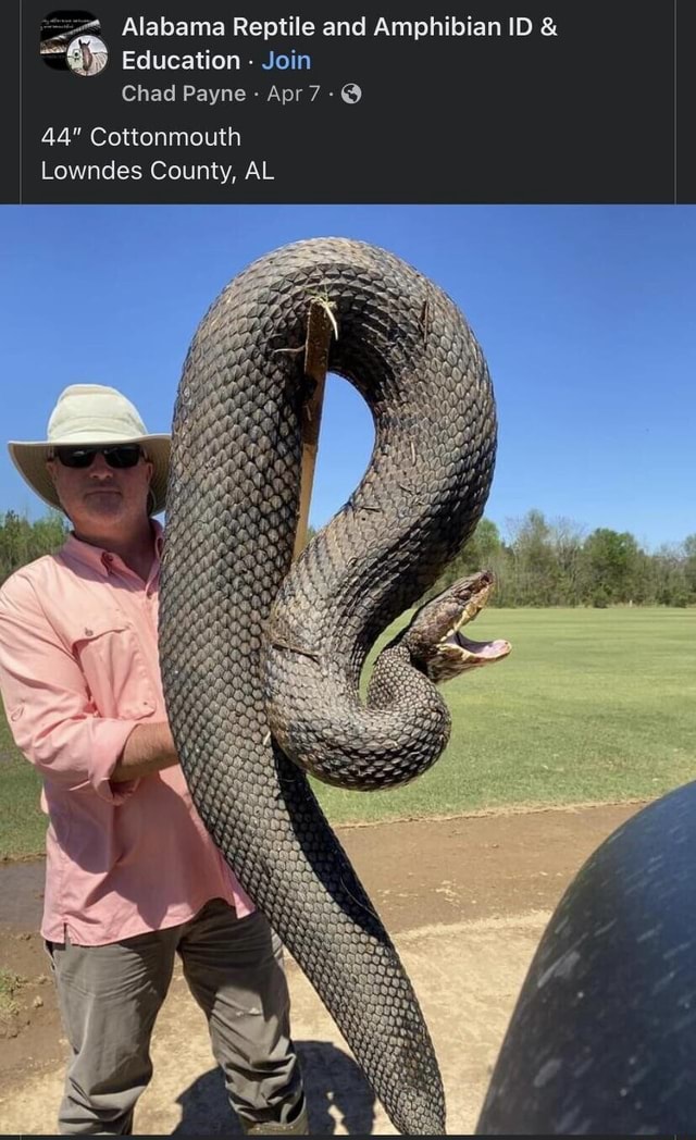 Alabama Reptile and Amphibian ID & Education - Join Chad Payne - Apr7 ...