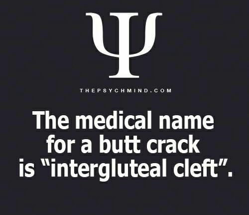 The medical name for butt crack is "intergluteal cleft". - America’s ...