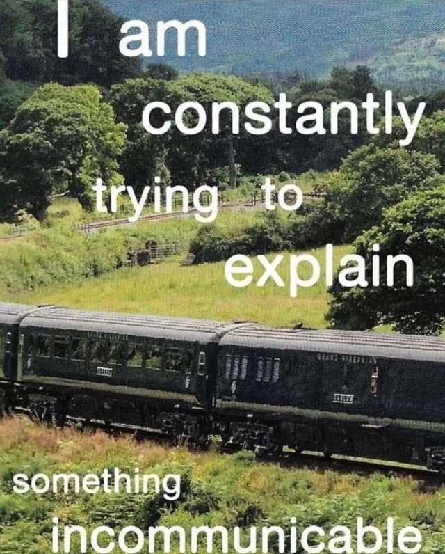 Am constantly trying to Re explain something incommunicable - iFunny