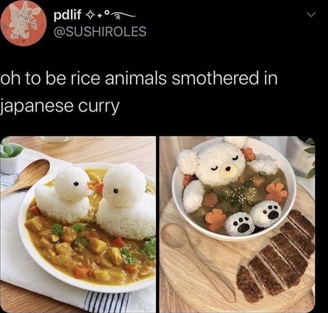 Oh to be rice animals smothered in japanese curry - iFunny