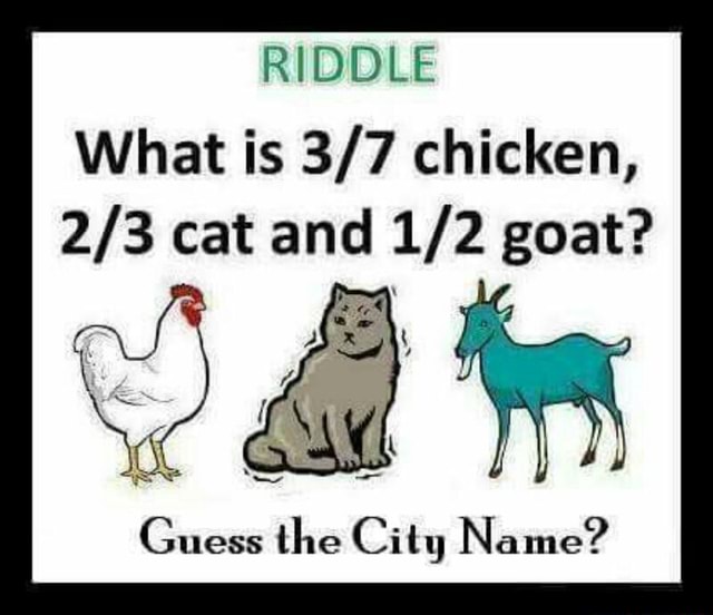 What Is 3 7 Chicken 2 3 Cat And 1 2 Goat LY Guess Ll1e Cily Name 