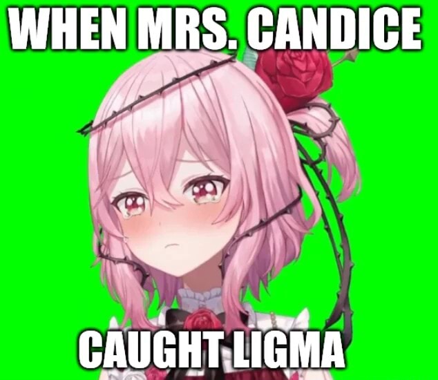 WHEN MRS. CANDICE CAUGHT,LIGMA - iFunny