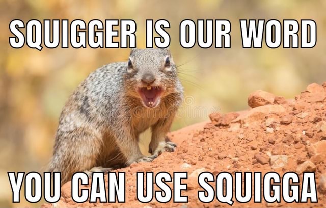 SQUIGGER IS OUR WORD YOU CAN USE SQUIGGA - iFunny