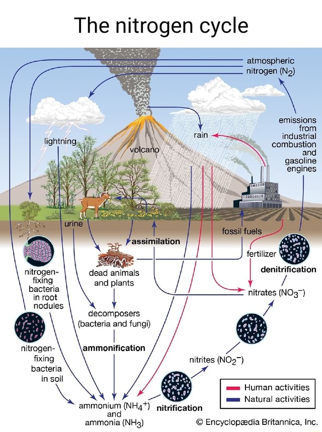 The nitrogen cycle atmospheric nitrogen (No) emissions from industrial ...