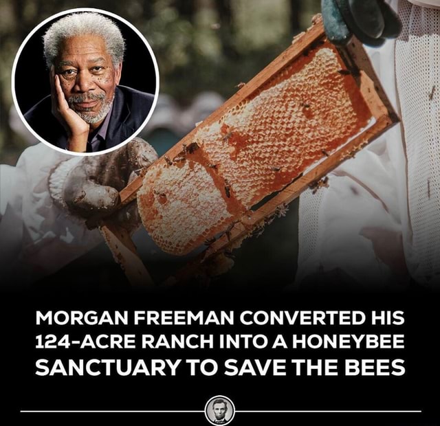 MORGAN FREEMAN CONVERTED HIS 124-ACRE RANCH INTO A HONEYBEE SANCTUARY ...