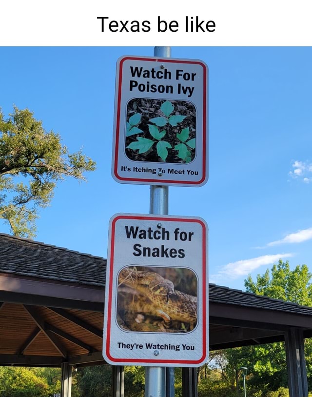 Texas be like Watch For Poison Ivy Snake - iFunny