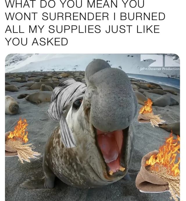WrAl DO YOU MEAN YOU WONT SURRENDER I BURNED ALL MY SUPPLIES JUST LIKE ...