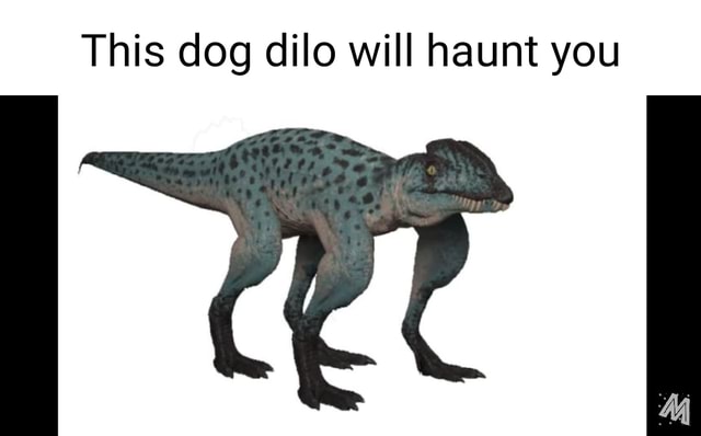 This dog dilo will haunt you - iFunny