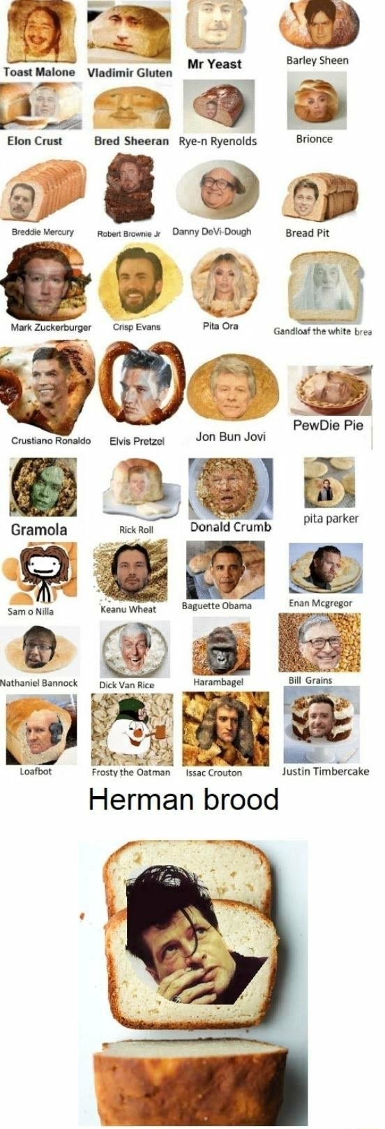 Barley Sheen Toast Malone Viedimir Gluten Yeast Elon Bred Sheeran Rye-n ...