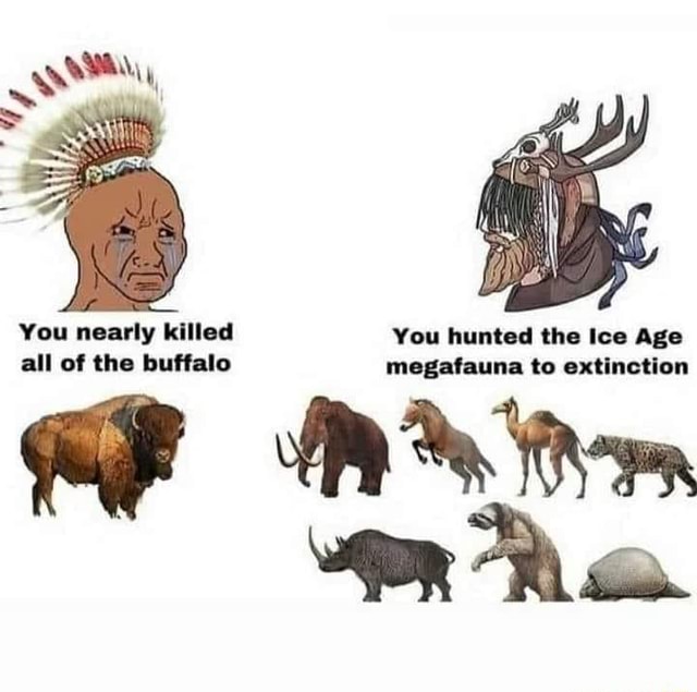 You nearly killed You hunted the Ice Age all of the buffalo megafauna ...