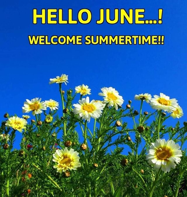 🌞 Hello June..! Welcome Summertime! 🌞 Good Morning.., Have A Great ...