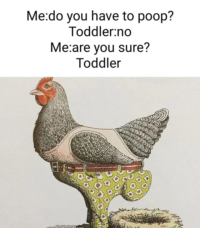 Do you have to poop? Me Todd are you sure? Me Todd - iFunny