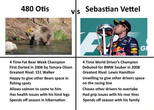 480 Otis vis Sebastian Vettel 4 Time Fat Bear Week Champion 4 Time ...