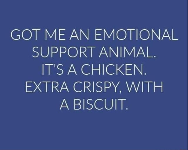 GOT ME AN EMOTIONAL SUPPORT ANIMAL. IT'S A CHICKEN. EXTRA CRISPY, WITH ...