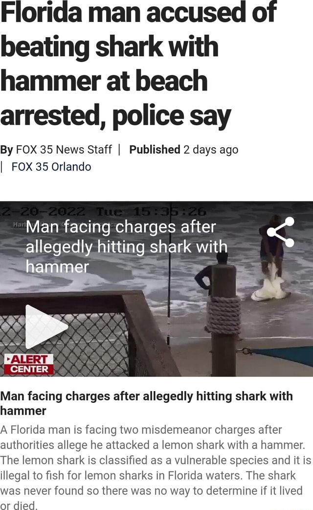 Florida man accused of beating shark with hammer at beach arrested ...
