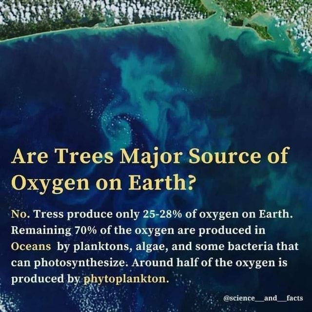 Are Trees Major Source of Oxygen on Earth? No. Tress produce only 25-28 ...