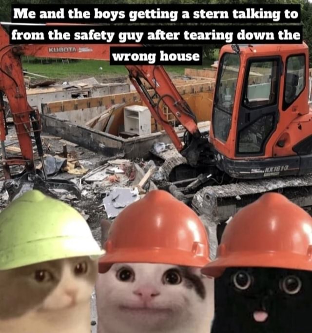 Me and the boys getting a stern talking to from the safe after tearing ...