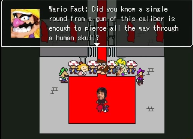 Wario Fact: Did you know a single round from a gun of this caliber is ...