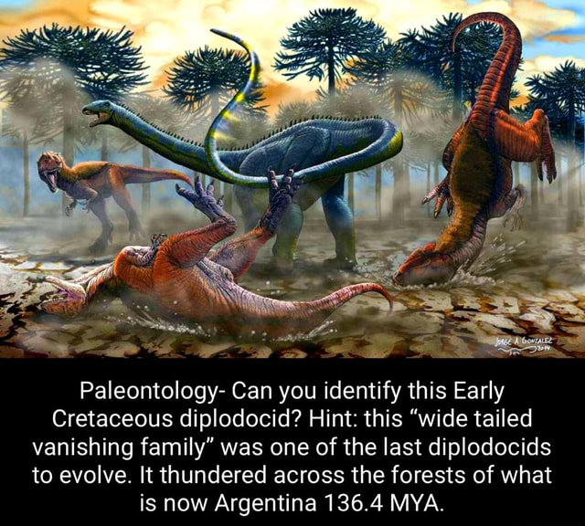 Paleontology- Can you identify this Early Cretaceous diplodocid? Hint ...