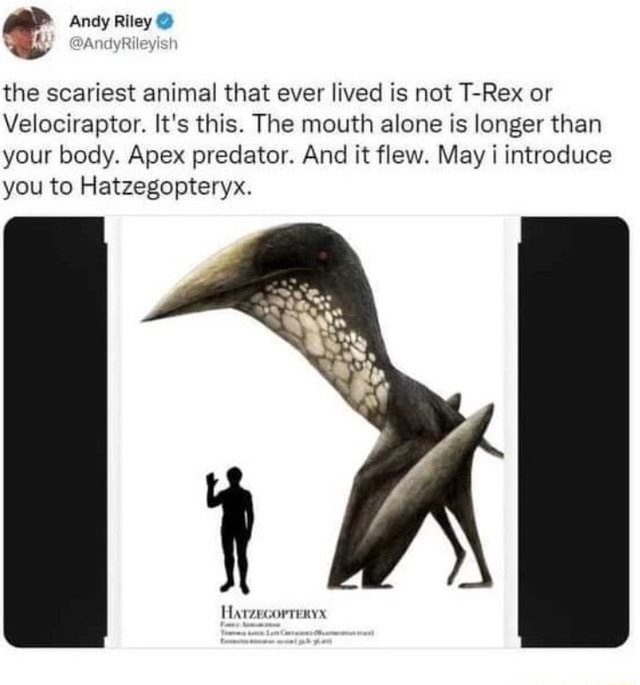 Andy Riley the scariest animal that ever lived is not T-Rex or ...