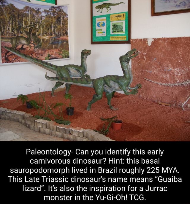 Paleontology- Can you identify this early carnivorous dinosaur? Hint ...