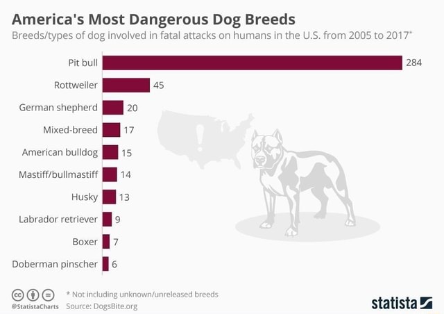 America's Most Dangerous Dog Breeds Breedstypes of dog involved in ...