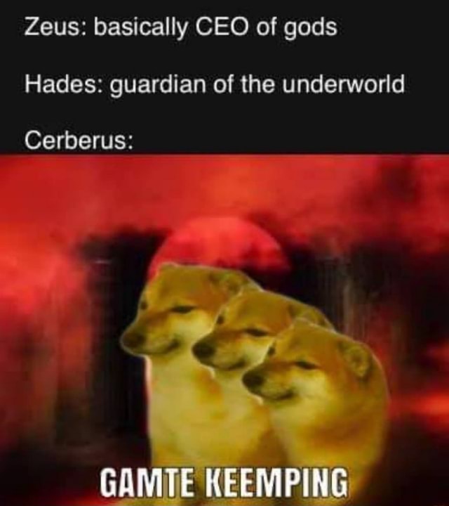Cerberus meme - Zeus: basically CEO of gods Hades: guardian of the ...