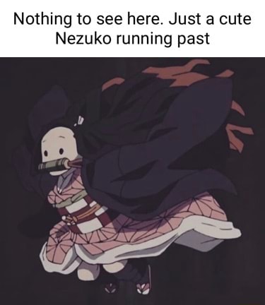 Nothing to see here. Just a cute Nezuko running past - iFunny