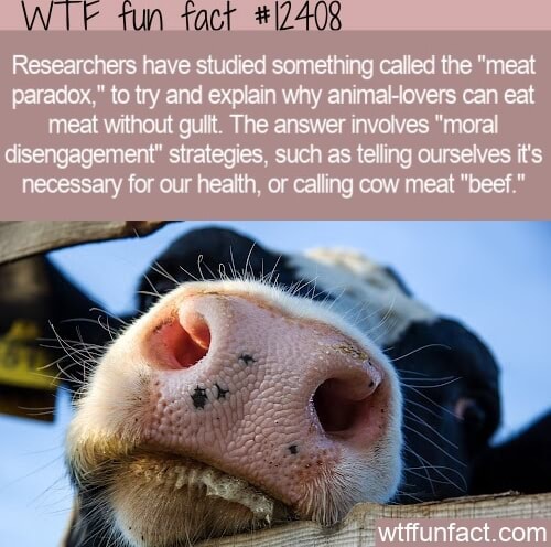 Tun tact Researchers have studied something called the "meat paradox ...