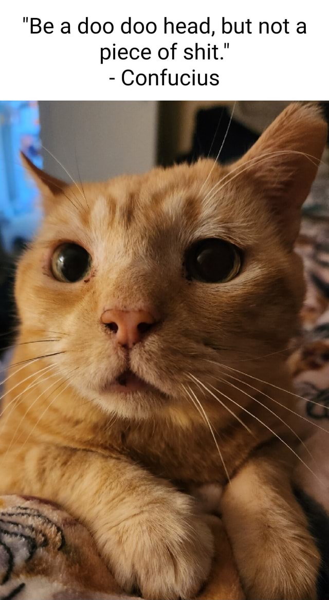 "Be a doo doo head, but not a piece of shit." - Confucius - iFunny