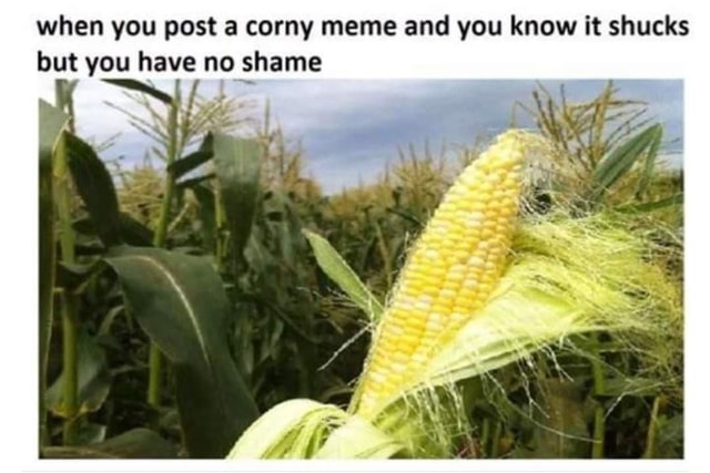 When you post a corny meme and you know it shucks but you have no shame ...