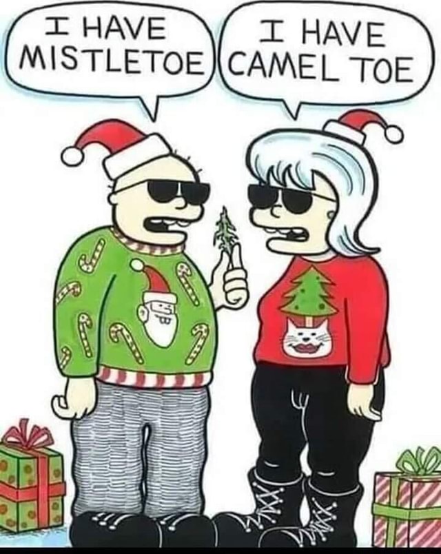 HAVE HAVE MISTLETOE \CAMEL TOE - iFunny
