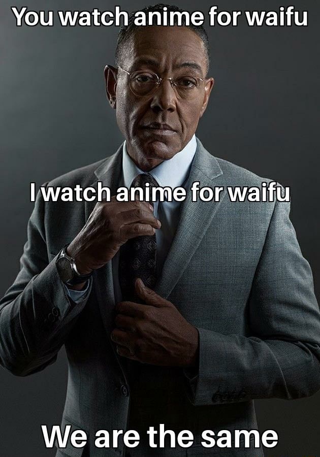 You watch anime for waifu I watch anime for waifu aN We are the same ...