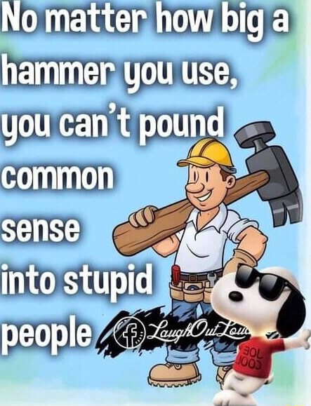 No matter how big a hammer you use, you can't pound common sense ...