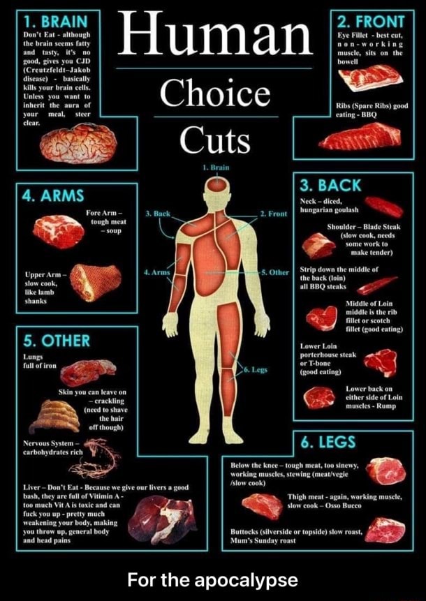 Don’t knock it till you try it - BRAIN sch disease) basally your brain ...
