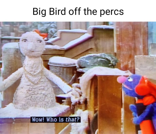 Big Bird off the percs ~/Wow! Who is I I I - iFunny
