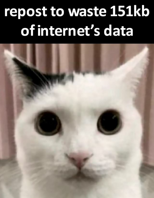 Repost to waste 151kb of internet's data - iFunny