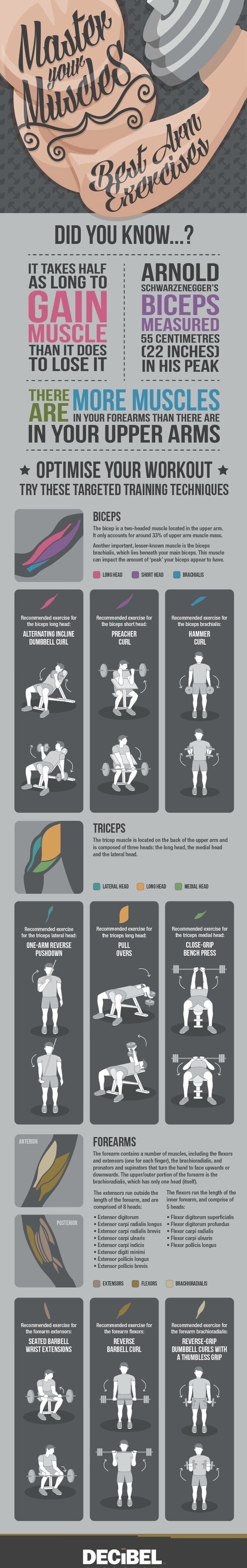 DID YOU KNOW...? IT TAKES HALF AS LONG TO GAIN MUSCLE THAN IT DOES TO ...