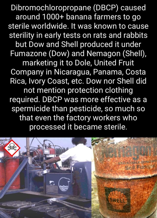 Dibromochloropropane (DBCP) caused around 1000+ banana farmers to go ...