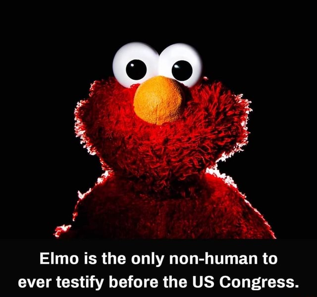 Elmo is the only non-human to ever testify before the US Congress. - iFunny