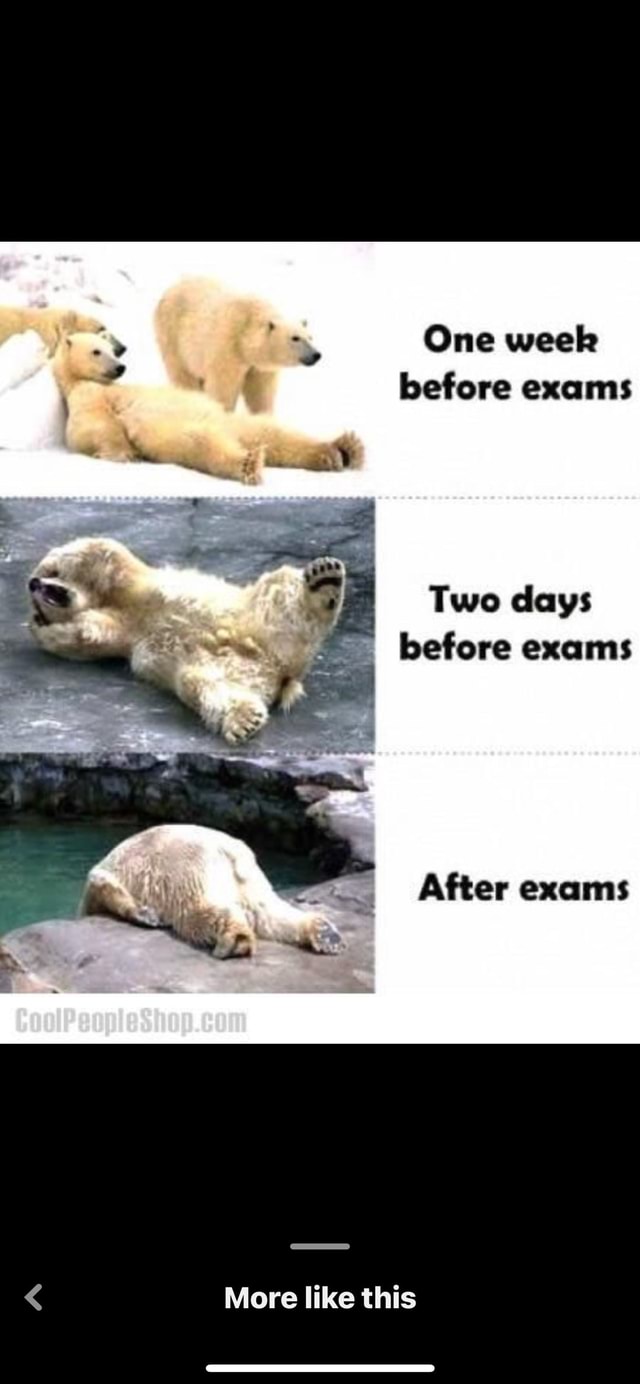One week before exams Two days before exams After exams More like this ...